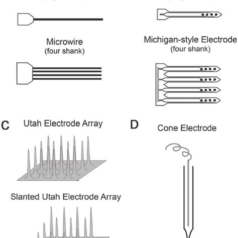 Pdf Progress Towards Biocompatible Intracortical Microelectrodes For Neural Interfacing