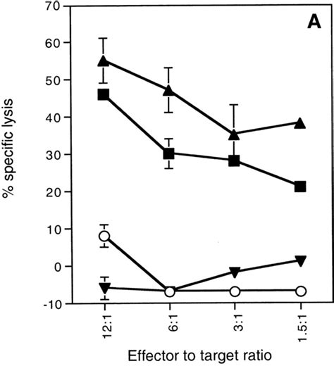 Tap Dependent Presentation Of Mulv Gagl Derived Ctl Epitope A