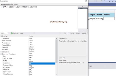 Ssrs Int Function