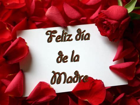 Compartiendo Mi Opinión Hoy 10 De Mayo Se Celebra En El Salvador Y