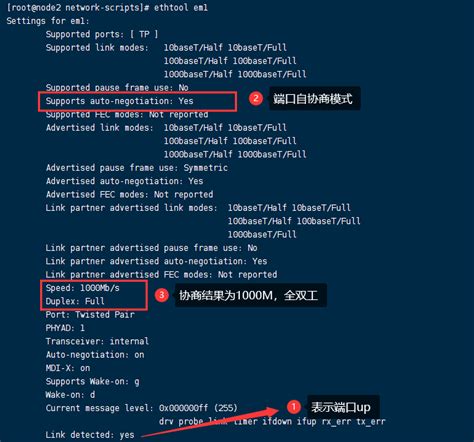 Linux命令之查询网卡联网状态ethtool命令 轻云wiki百科