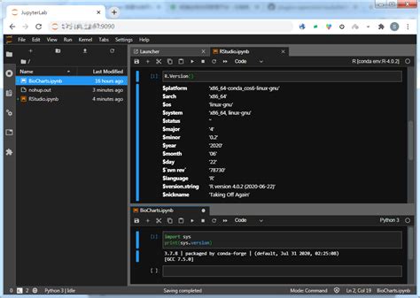 jupyterlab server 搭建与使用笔记 python中文社区的博客 csdn博客