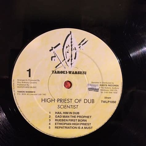 Scientist High Priest Of Dub レゲエ Reggae ダブ Very Rare レコードレゲエ｜売買された