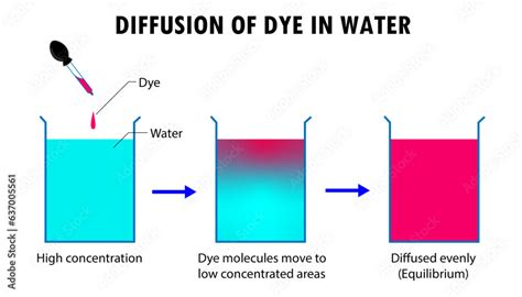 Diagram Of The Process Of Diffusion Movement Of Particles From Highly Concentrated Area To Low