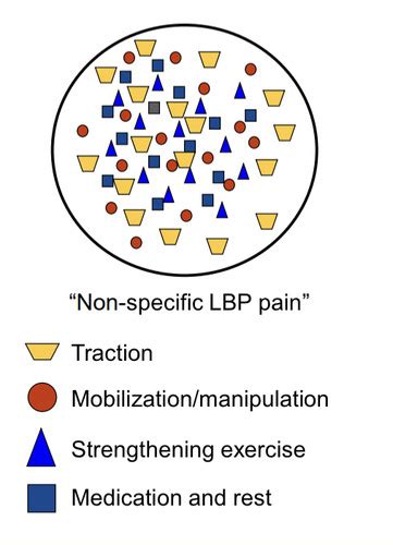 Physical Therapy Classification Of Lower Back Pain LBP Study Materials Flashcards Quizlet