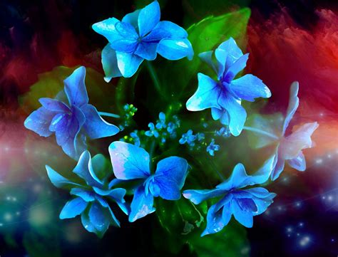 紫陽花 コラージュ版 GANREF