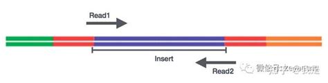 微阵列芯片 Microarray 与rna Seq简介 知乎