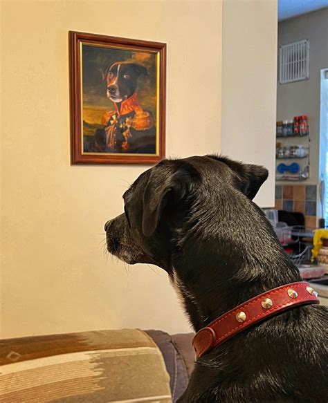 Admiring Himself Scrolller