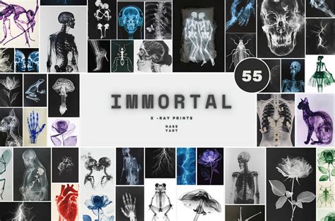55 Immortal X Ray Print Posters Graphics Youworkforthem