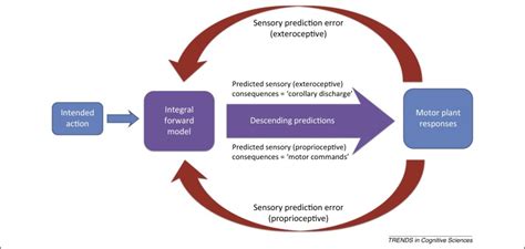 getting ahead forward models and their place in cognitive architecture trends in cognitive