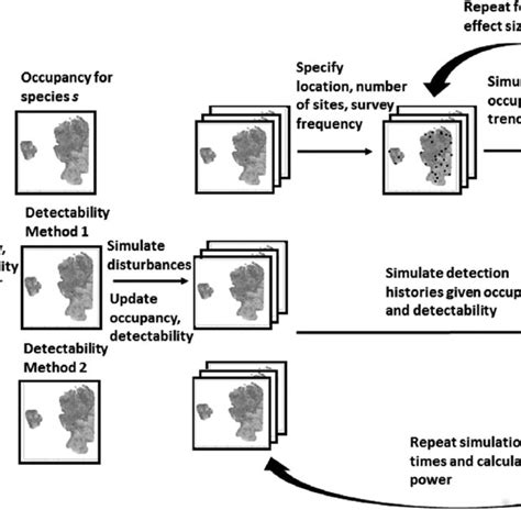 Structure Of The Spatially Explicit Power Analysis Framework For