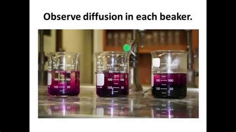 Diffusion Of Potassium Permanganate YouTube