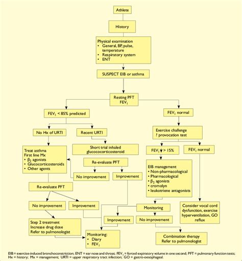 Flow Chart For Assessing Exercise Induced Bronchospasm Constantinou