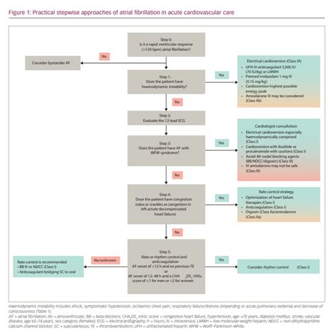 Afib With Rvr Treatment
