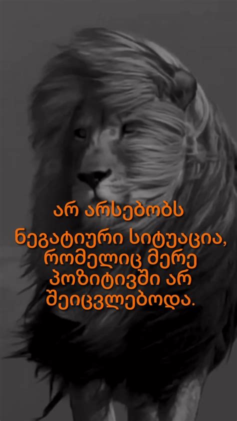 არ ჩამოყარო ყურები ყველაფერი კარგად იქნება By ფსიქოლოგი ვაკო დარჩია