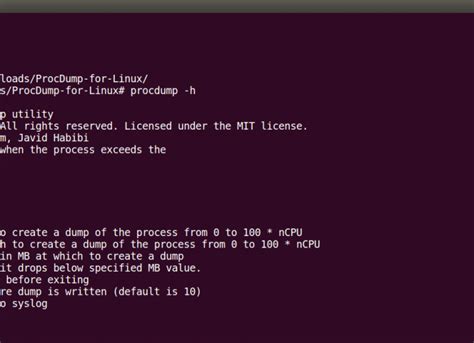 Obtener Detalles Ocultos De Cualquier Proceso De Linux Usando PROCDUMP