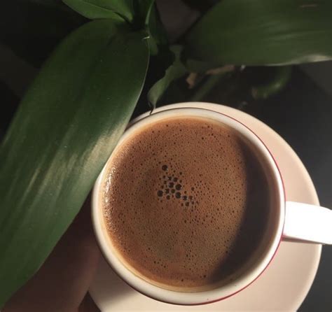 Что происходит с телом если пить кофе каждый день Наполни жизнь новым вкусом Дзен