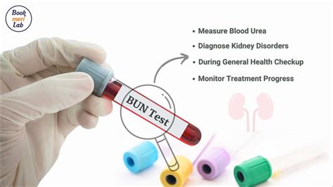 Blood Urea Nitrogen BUN Test Price Purpose Results 2022