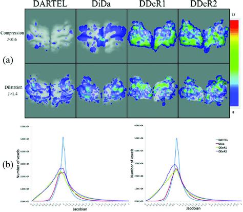 4 Deformation Fields For Diffeomorphic Methods A The Spatial Download Scientific Diagram