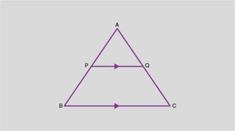 Unlock Success In Bpt Basic Proportionality Theorem Class 10