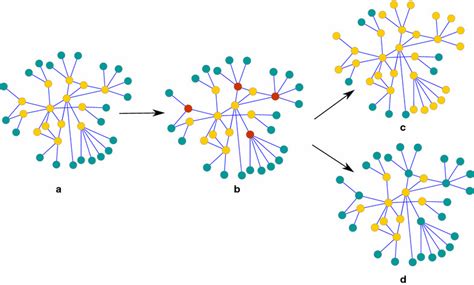 Llustrating The Mutation Procedure A A Subgraph In Which Yellow Nodes Download Scientific