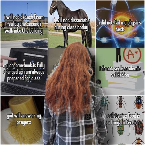 Blueprint My Experience Running Dgs Affirmations Account