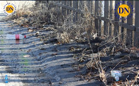 Э Энхмөнх Бохирдсон хөрс өвчин үүсгэгч бичил биетэн амьдарч үржих тохиромжтой орчин болдог Dnn Mn