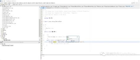 java怎么输入String类型 Java语言程序设计五从对话框获取输入及String类型 源码巴士
