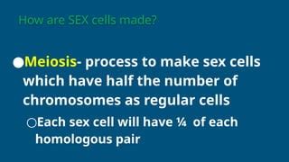 Meiosis Cell Division And Differences From Mitosis Ppt