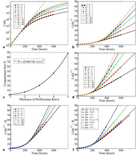Matching Type A And B Cellular Automaton Models A Lin Log Plot Of