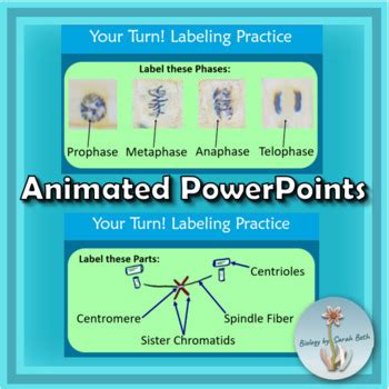 DNA And The Cell Cycle Unit Bundle PPT Notes Digital Interactive Activities