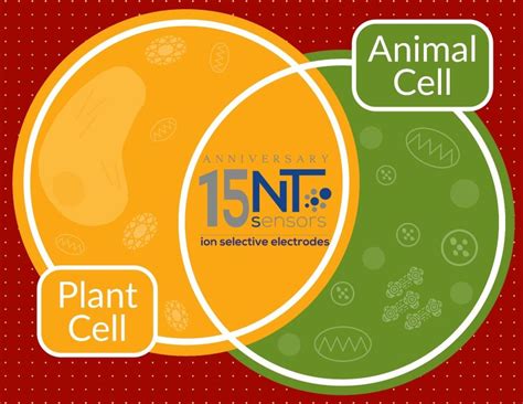 Nt Sensors On Linkedin Ions Are Everywhere