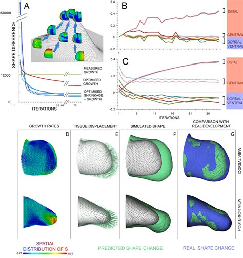 Assessing The Parameter Optimisations A A Plot Of The Fitness Download Scientific Diagram