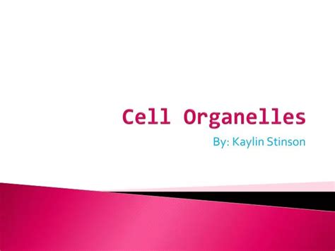 Ppt Cell Organelles Powerpoint Presentation Free Download Id 1886956