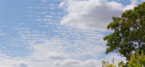 Quick Opportunistic Pic Striated Clouds Rclouds