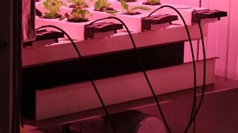 Exploring Advanced Hydroponic System Designs Hydroponic Gardening