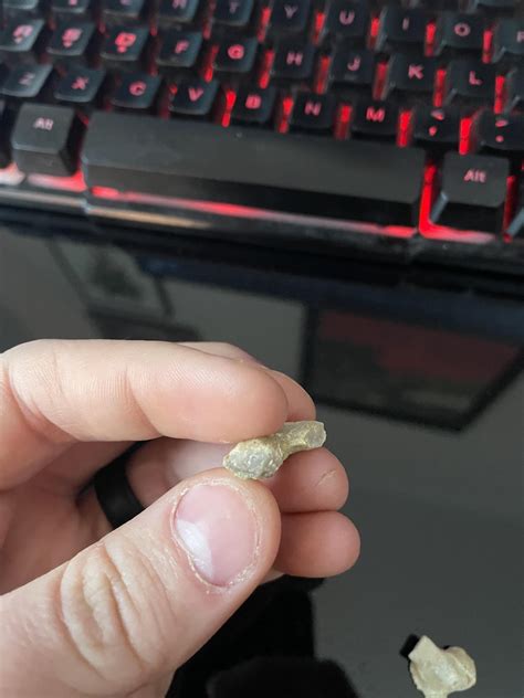 is this fossilized bone or just a formation of rock r fossilid