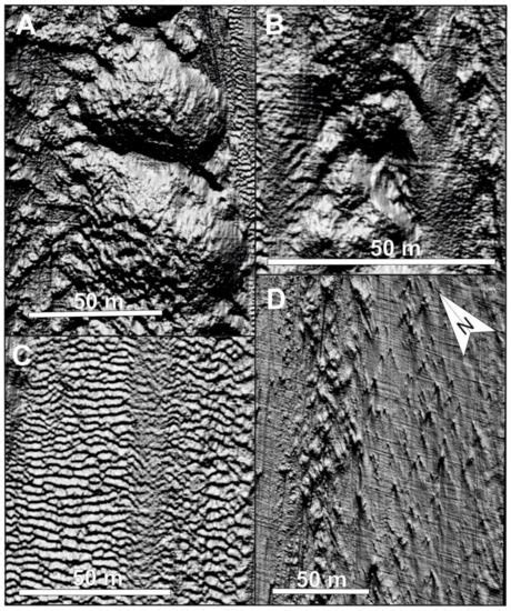 Remote Sensing Special Issue Advances In Remote Sensing In Coastal Geomorphology