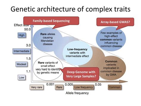 Genetic Association Analysis Ppt Download