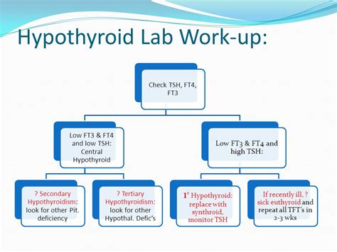end ‘o cryin about the endocrine lab tests ppt video online download