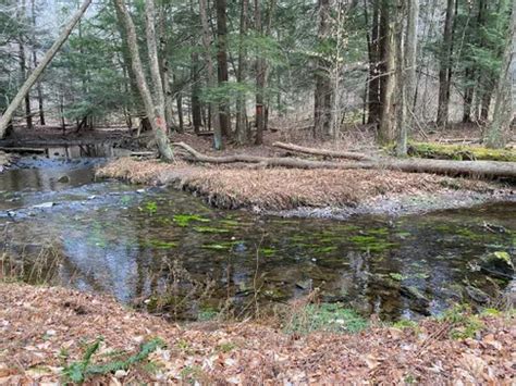 Best River Trails In Pinchot State Forest Alltrails