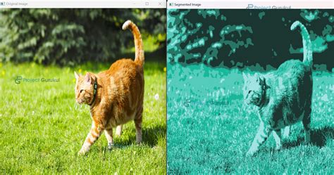 Python Opencv Project Image Segmentation Project Gurukul