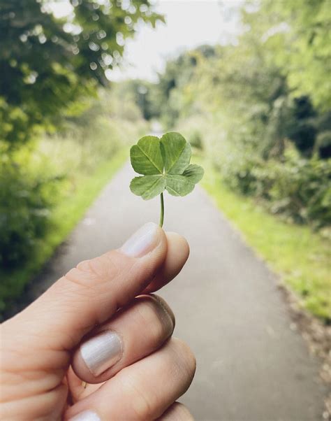 Anastasiia Zvenigorodskaia On Linkedin Financialplanning