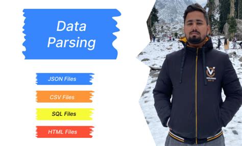 Be Your Python Data Parsing Expert By Usamaaa0786 Fiverr