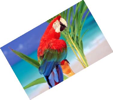 GitHub Arthurcluet Images Editing Project Second Year Academic Project In C Including Image