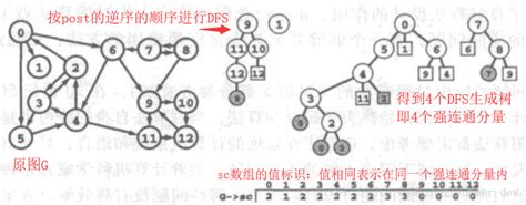 有向图的强连通分量 Kosaraju算法（有向图的强连通分量） 《数据结构与算法》 极客文档