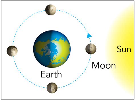 The Earth Moon System Lets Talk Science