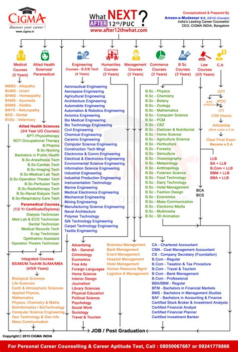 Career Chart After12th Color Courses And Colleges After 10th
