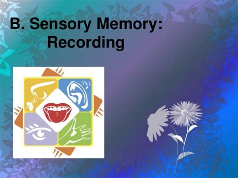 sensory memory