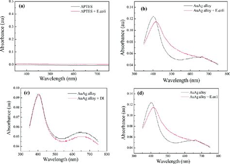 Spectrophotometric Measurement Assay At Elaine Osborn Blog